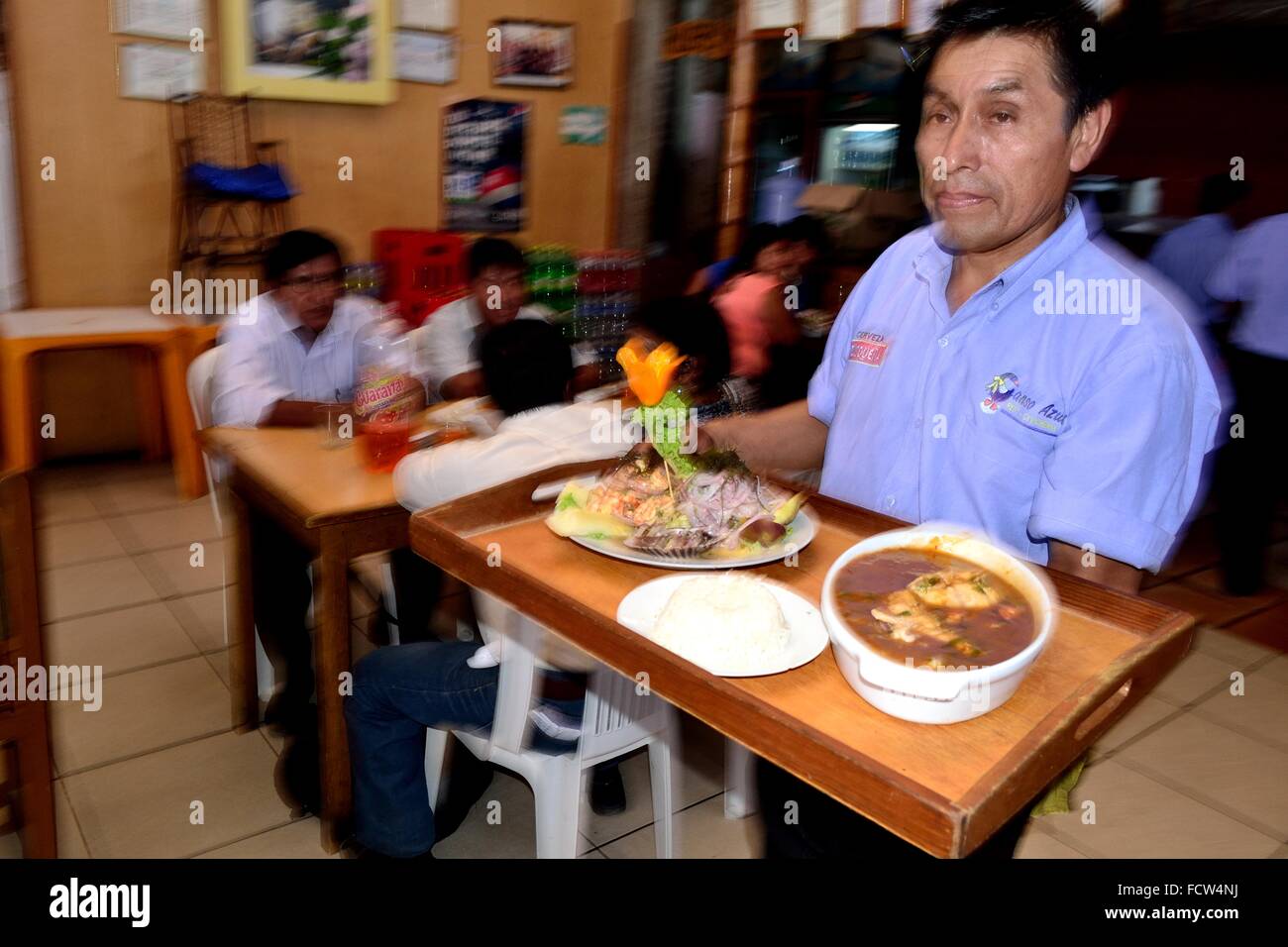 Ganso azul hi-res stock photography and images - Alamy