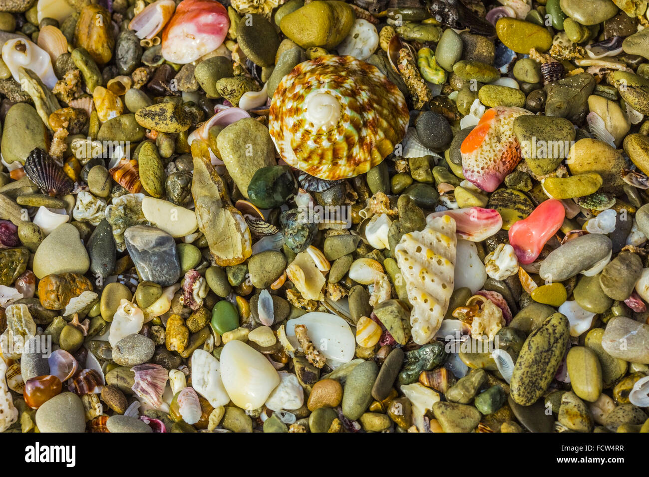 Colourful shells and pebbles on this popular south Nicoya Peninsula ...