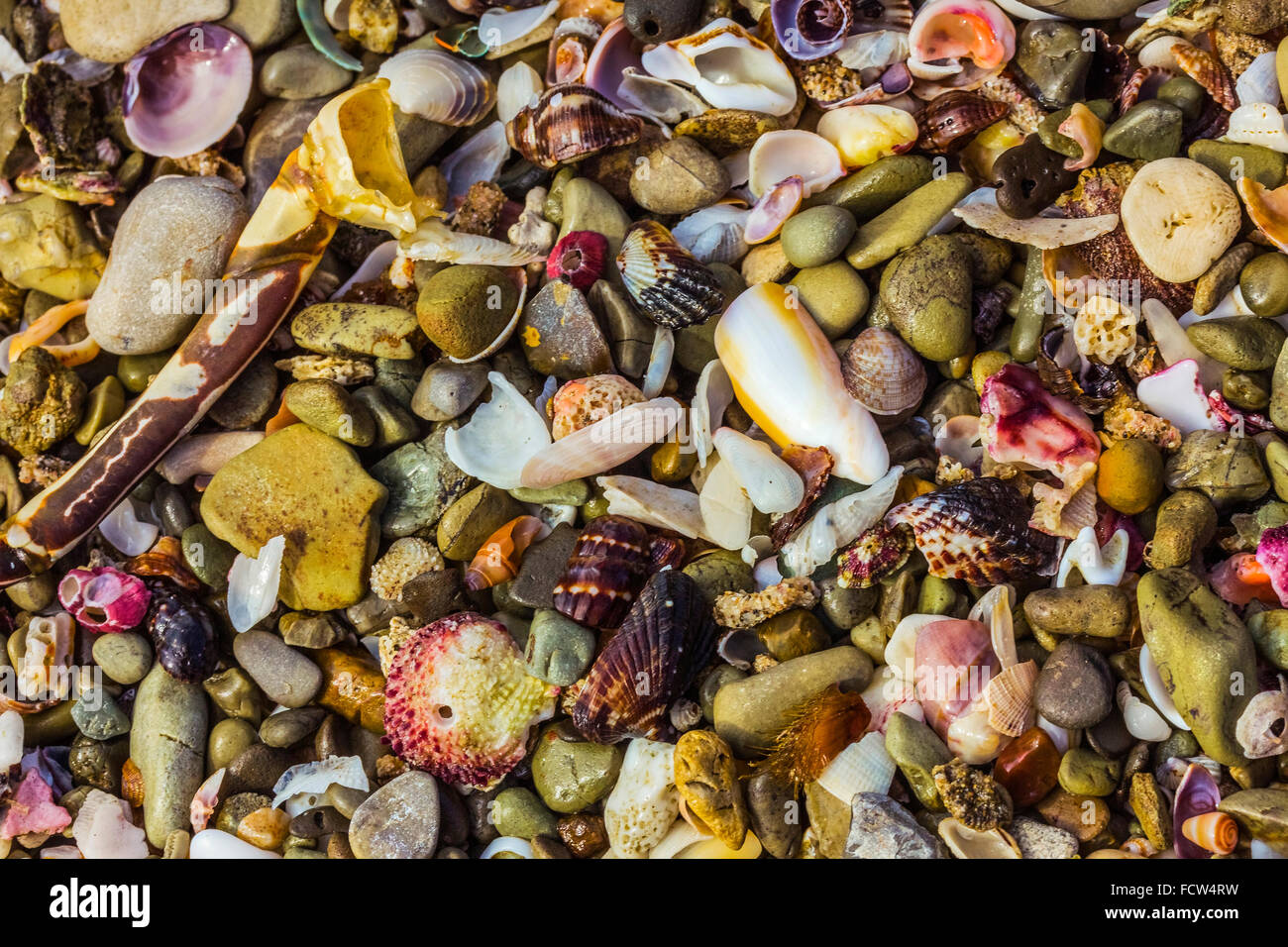 Colourful shells and pebbles on this popular south Nicoya Peninsula ...