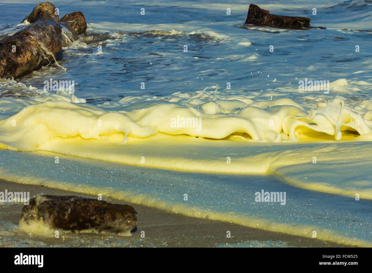 Surf & yellow algal bloom on Montezuma Beach at this resort on Nicoya ...