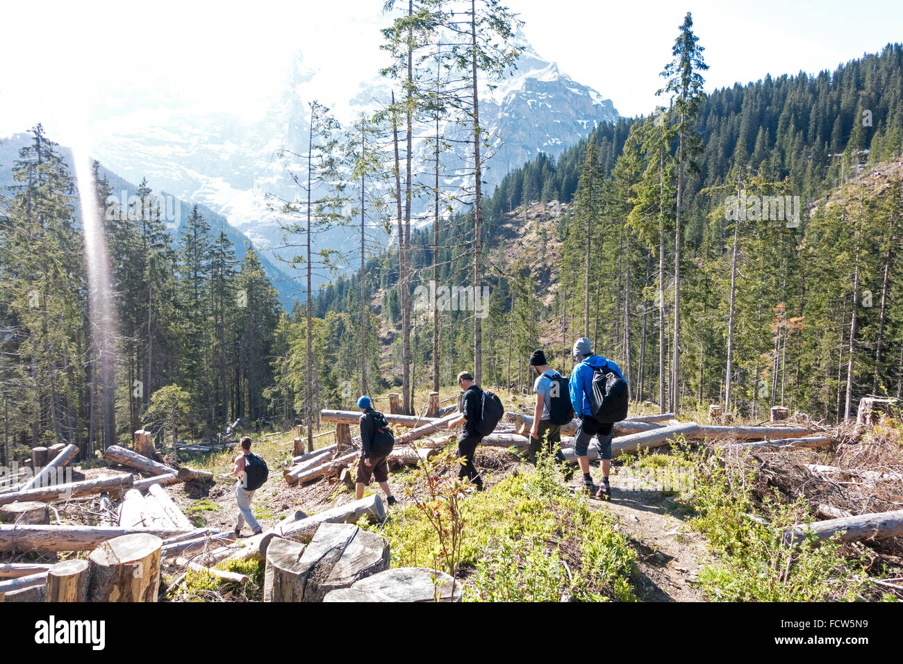 A group of BASE jumpers are walking together down to the mountain exit ...