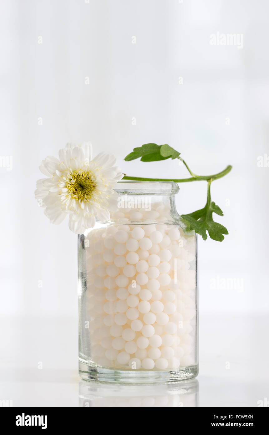 Homeopathy globules with herbal chamomile l flower Stock Photo - Alamy