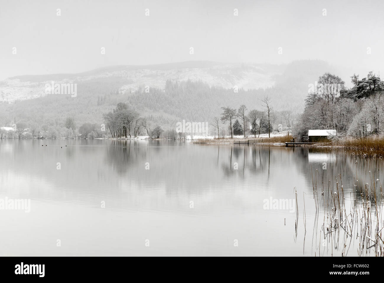 Loch Ard, Aberfoyle, The Trossachs in mid-winter Stock Photo - Alamy