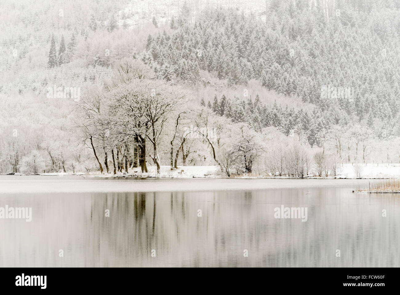 Loch Ard, Aberfoyle, The Trossachs in mid-winter Stock Photo - Alamy