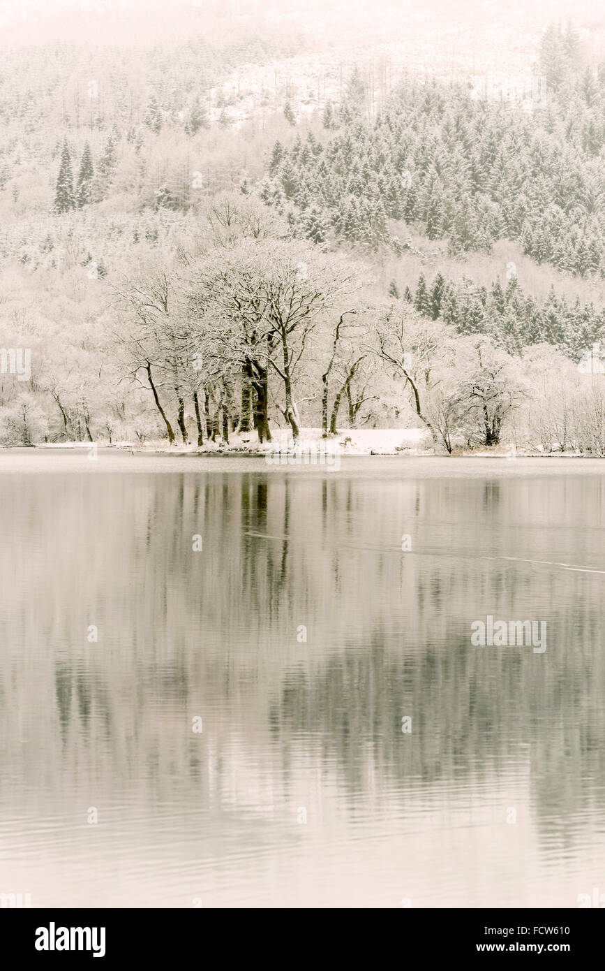 Loch Ard, Aberfoyle, The Trossachs in mid-winter Stock Photo - Alamy