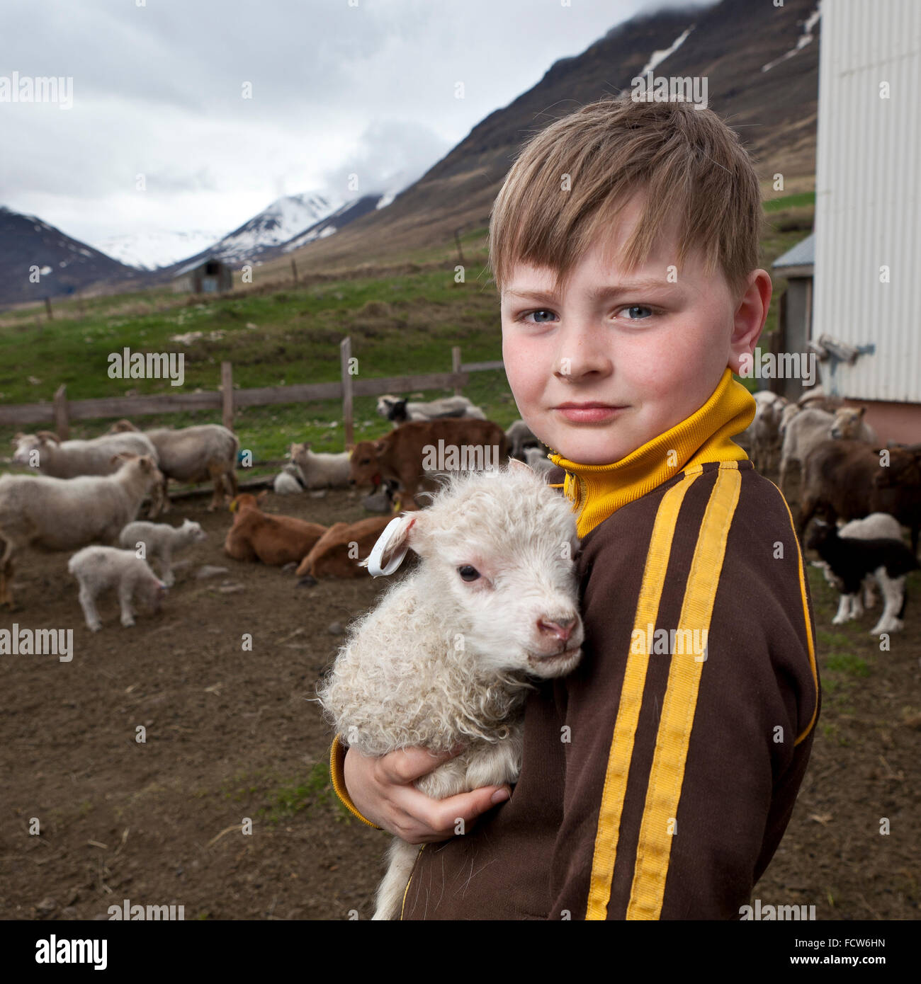 Child with lamb farm hi-res stock photography and images - Alamy
