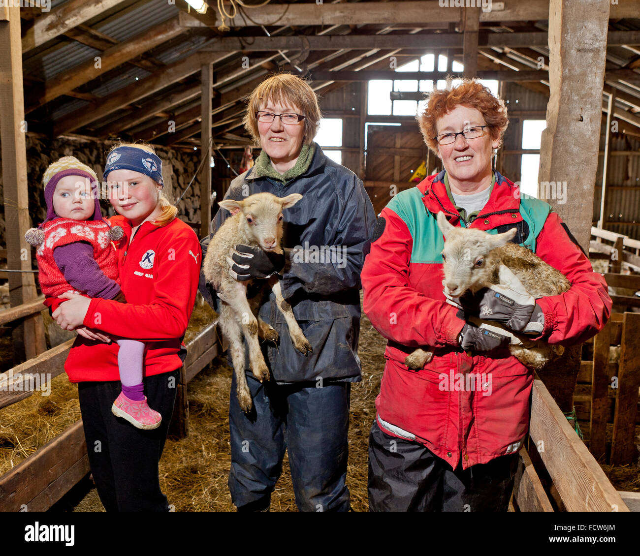 Family inside a barn, with sisters holding lambs, Iceland Stock Photo ...