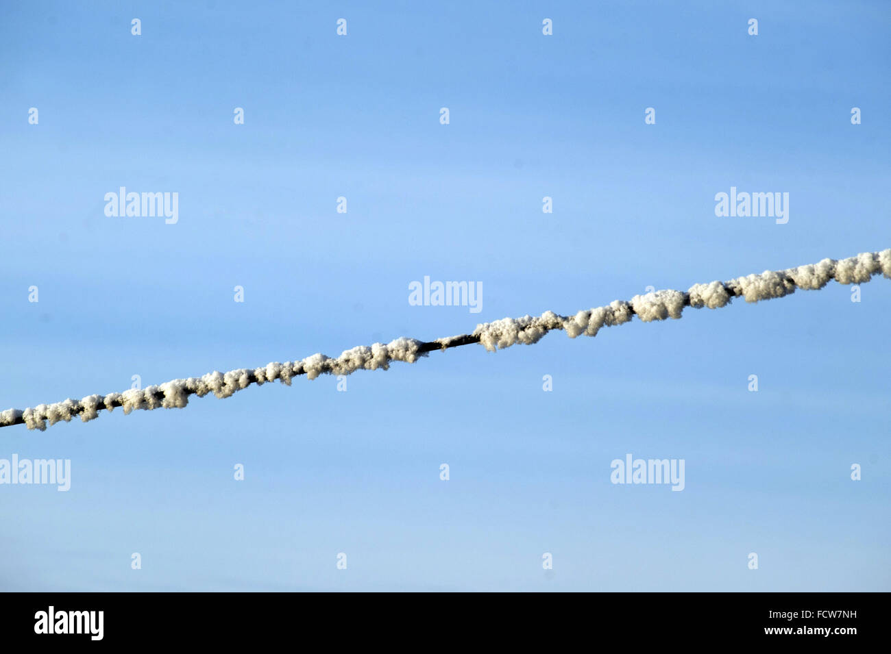 Snow covered telephone cable, Northumberland Stock Photo - Alamy