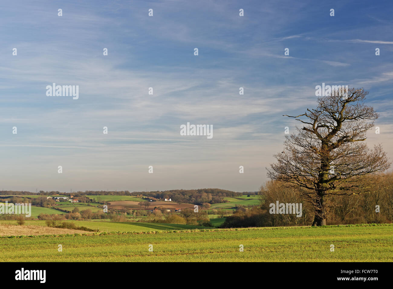 View across the River Stour valley in Suffolk,UK. An area made famous ...