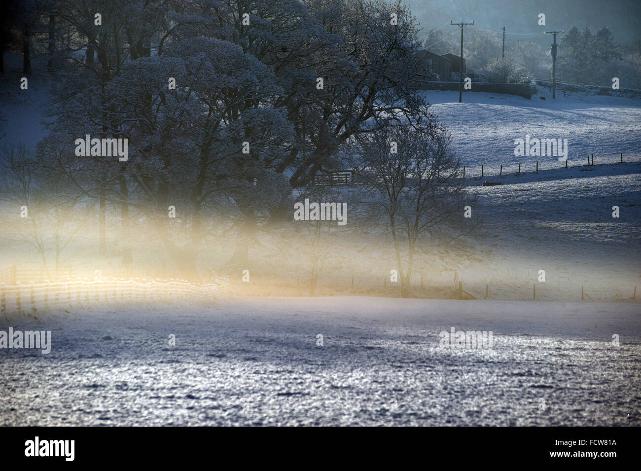 Mist floating over snow covered field, Northumberland Stock Photo - Alamy