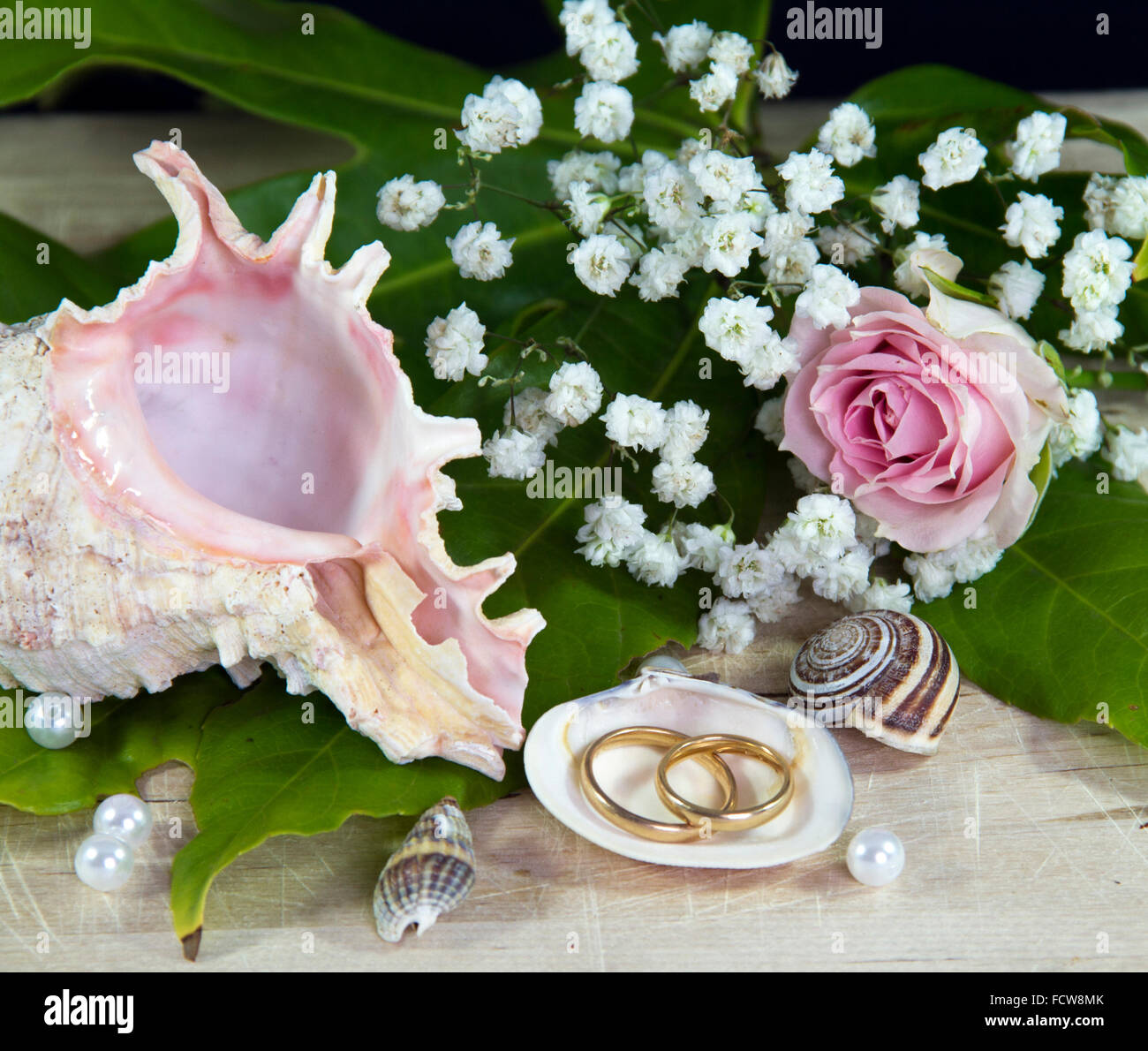 Shell gold rings wedding hi-res stock photography and images - Alamy