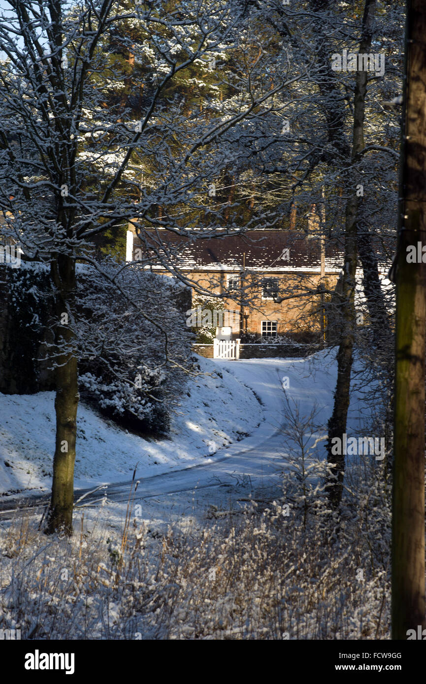 Ridley Tree High Resolution Stock Photography and Images - Alamy