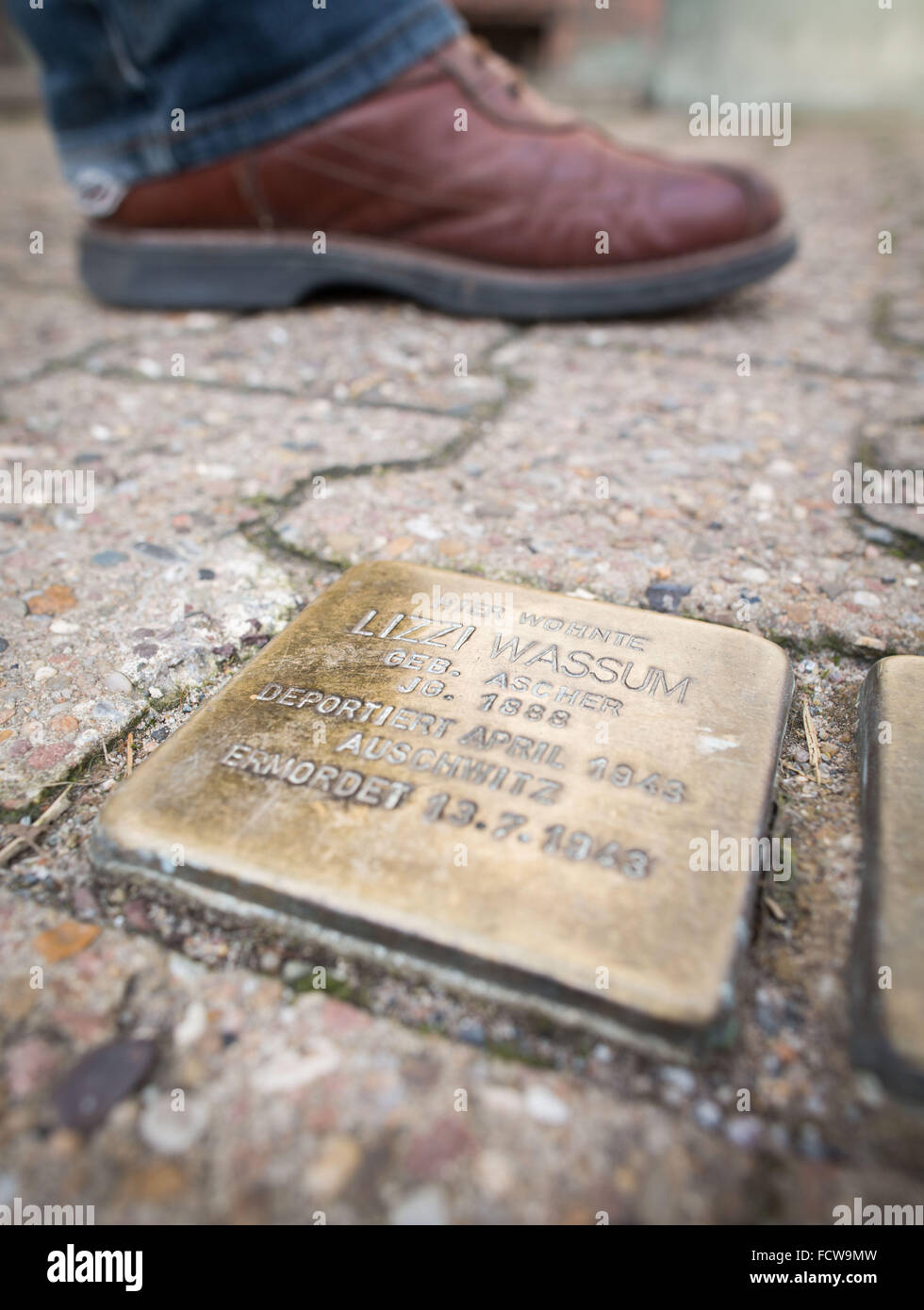 Michelstadt, Germany. 22nd Jan, 2016. A tripping stone dedicated to ...