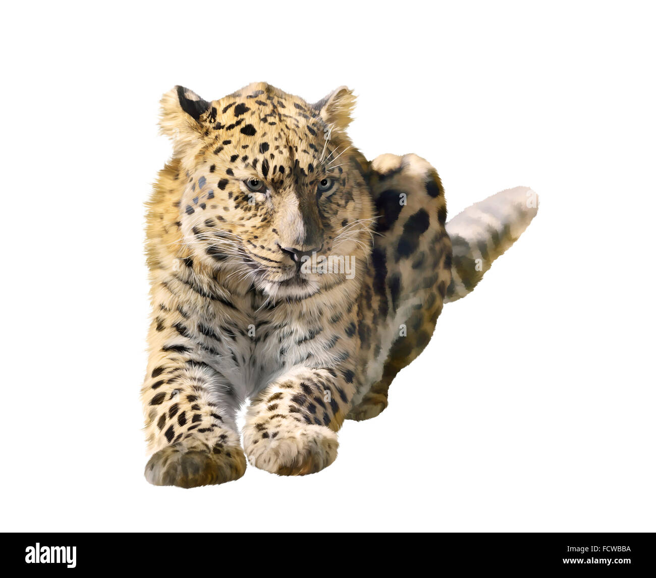 Digital Painting of Leopard Portrait isolated on white background Stock ...