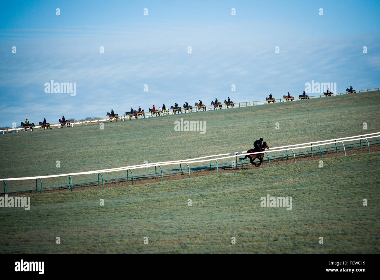 Early morning horse racing training on Lambourn Gallops, Berkshire, UK ...
