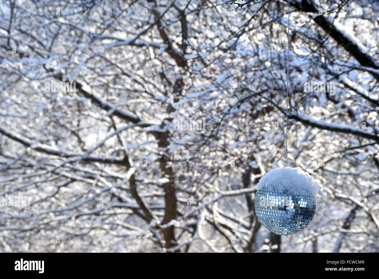 Snow covered glitter ball, Northumberland Stock Photo - Alamy