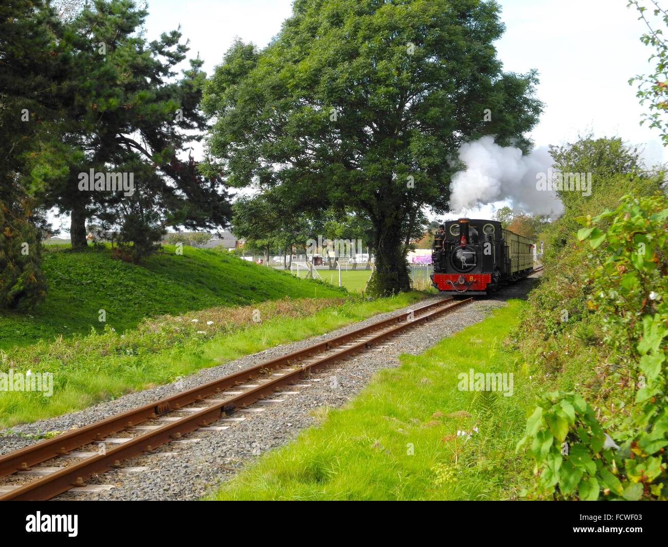 Vale of rheidol railway hi-res stock photography and images - Alamy