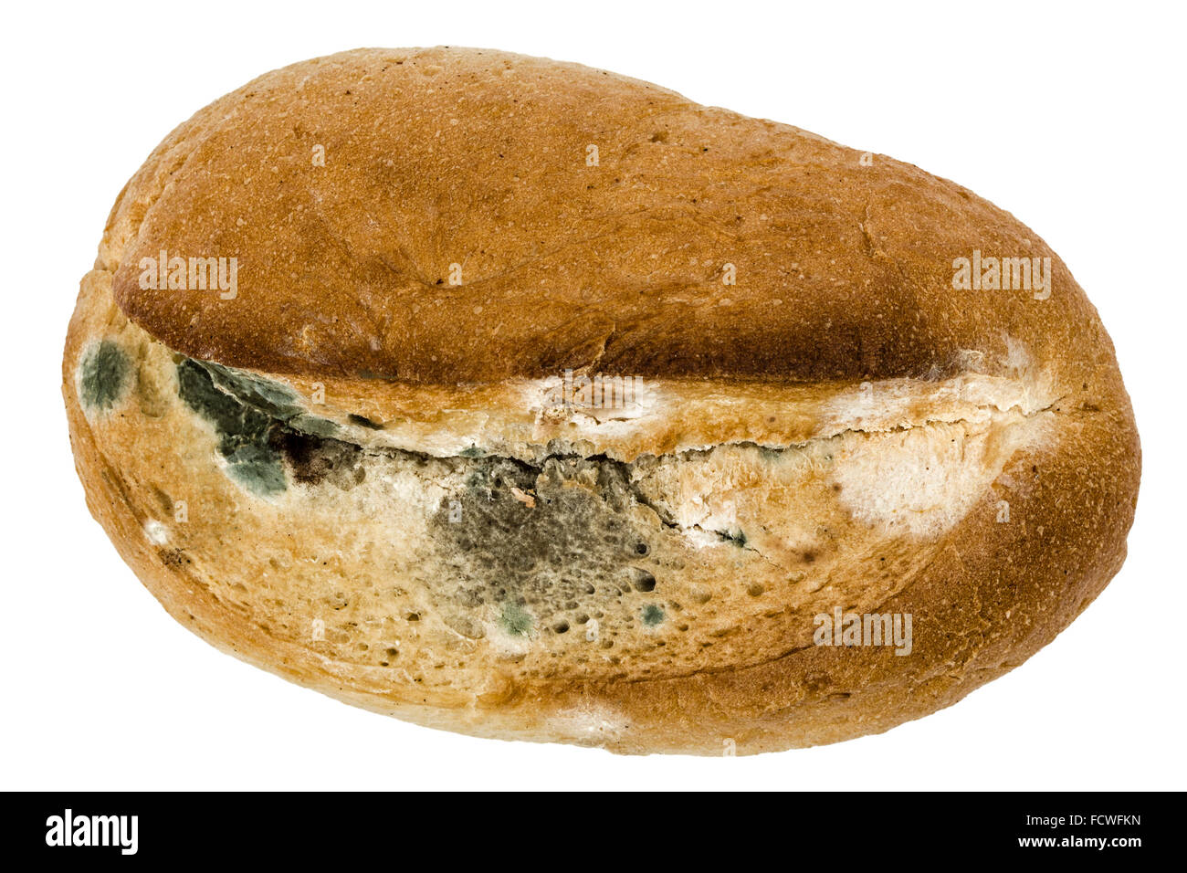 Moldy bread, isolated on white background Stock Photo - Alamy