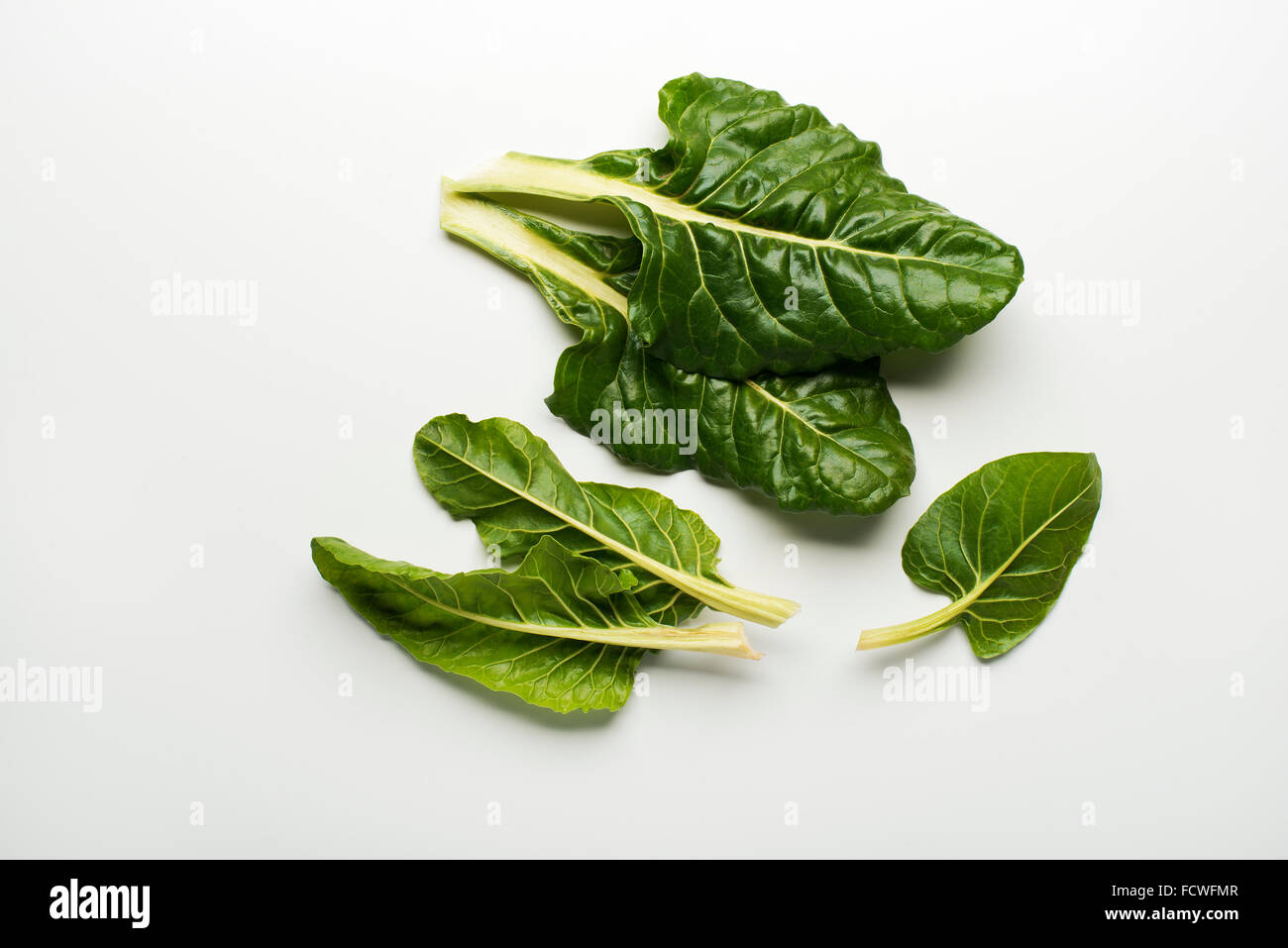 Fresh swiss chard leaves isolated on a white background Stock Photo - Alamy