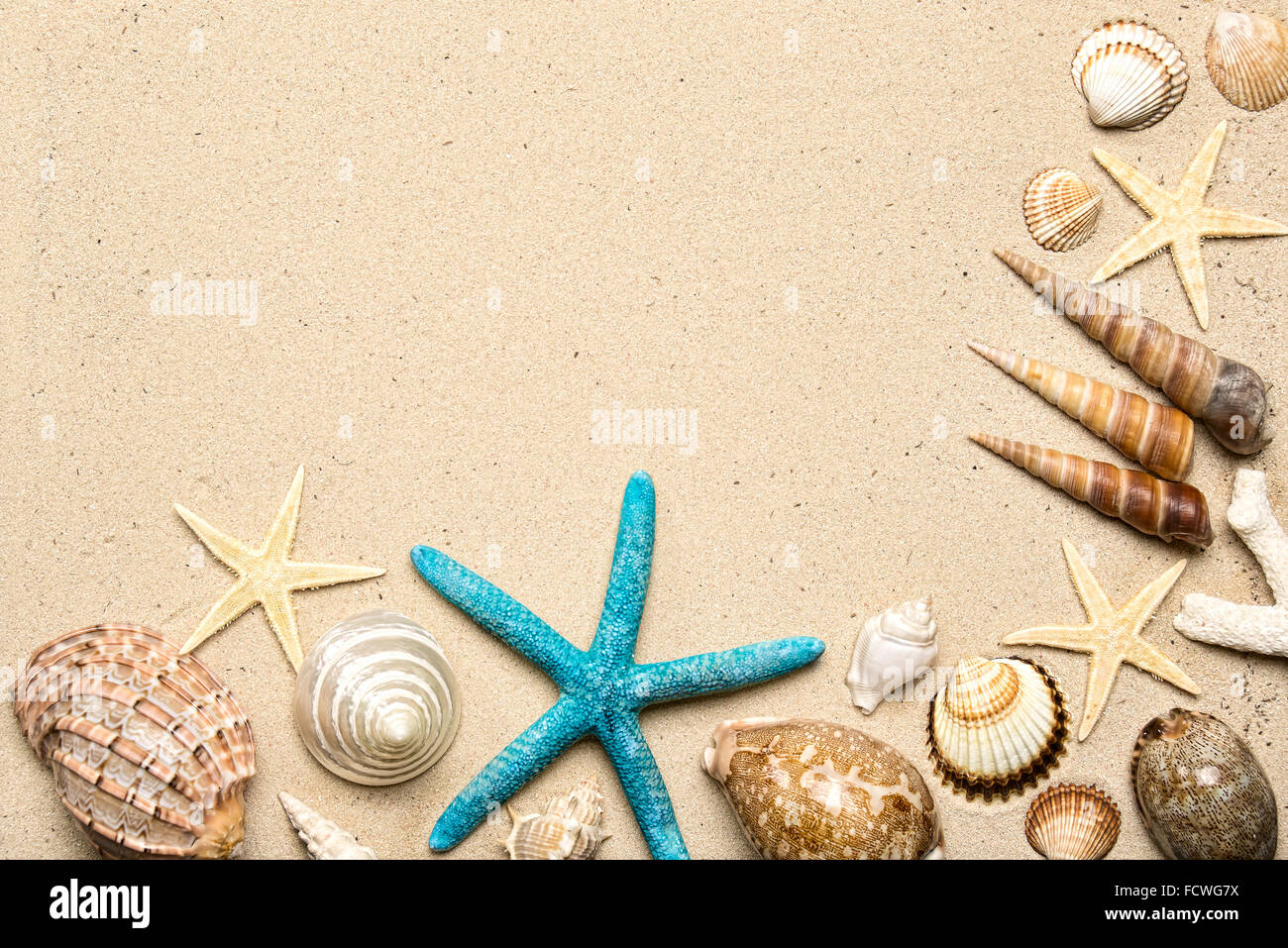 Beach Sand With Shells Wallpaper