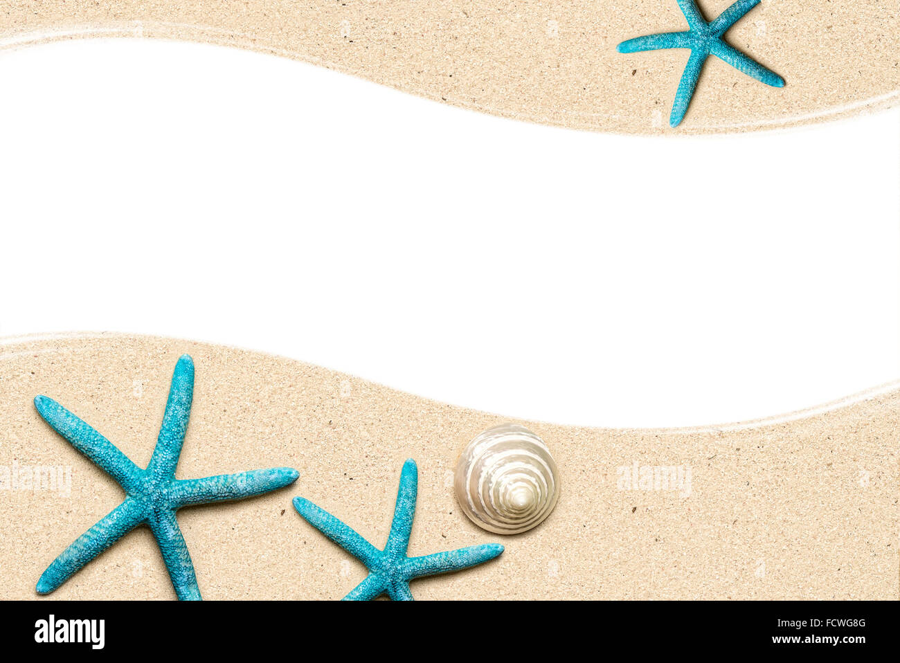 Sea shells on sand. Summer beach background. Top view Stock Photo - Alamy