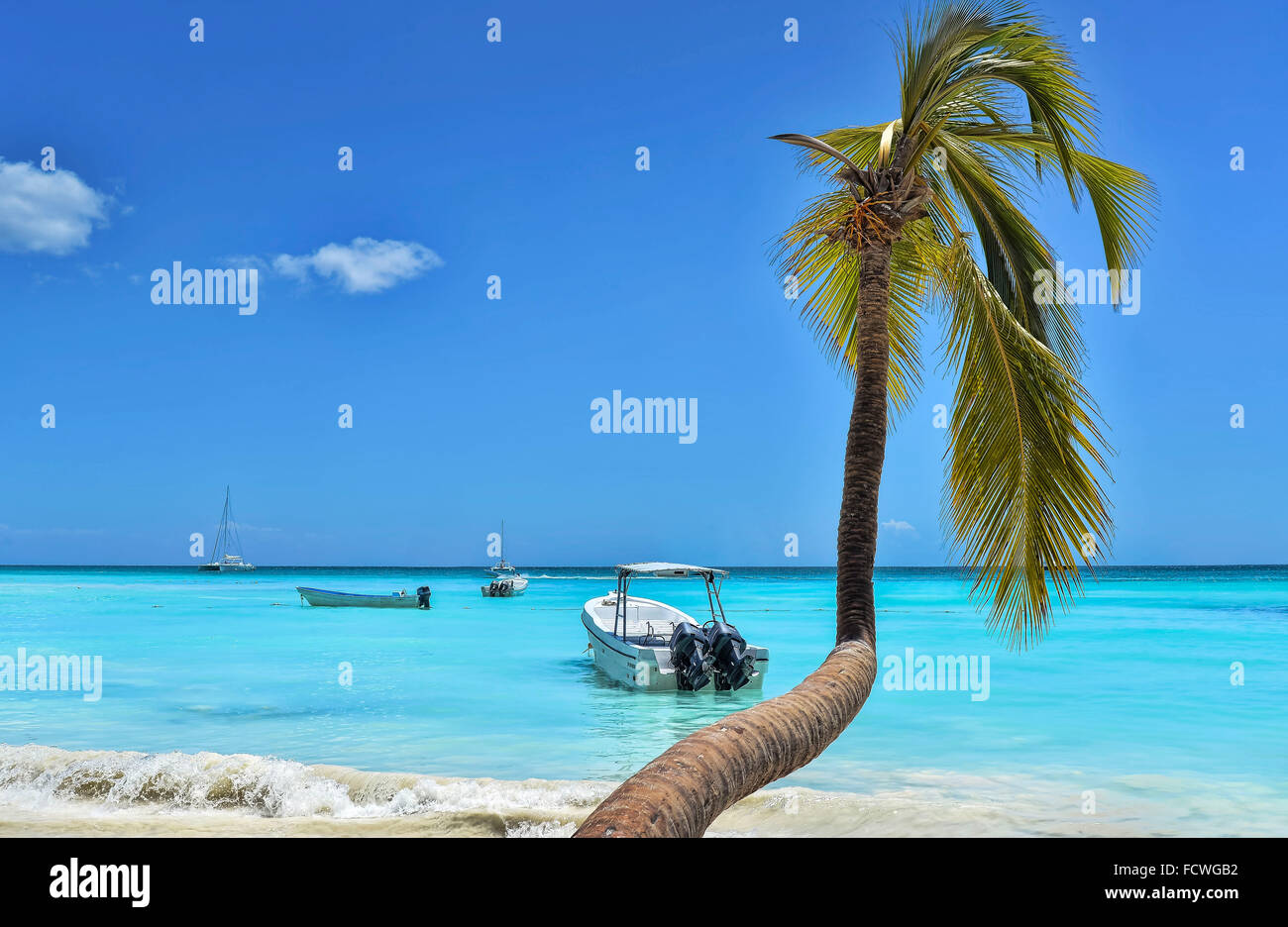 Palm Tree, Caribbean Sea, Boats And Blue Sky Stock Photo - Alamy