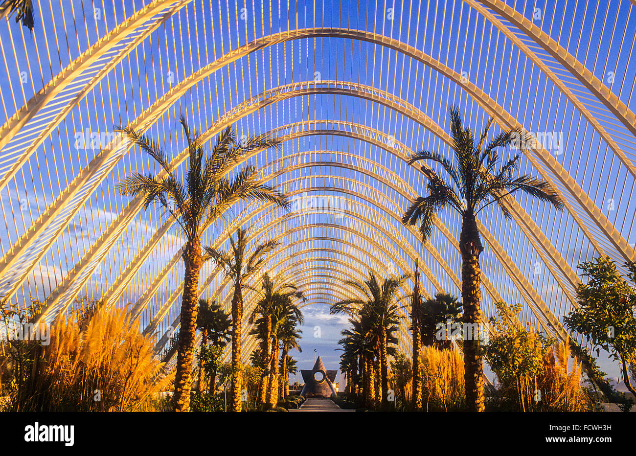 Umbraculo hi-res stock photography and images - Alamy