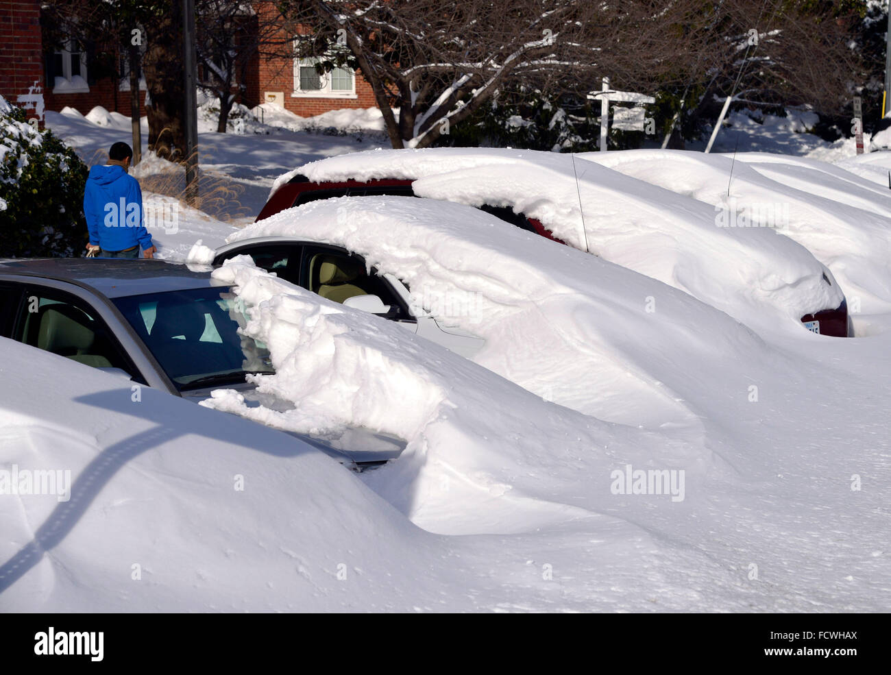 Washington, DC, USA. 25th Jan, 2016. A man walks by vehicles buried in ...