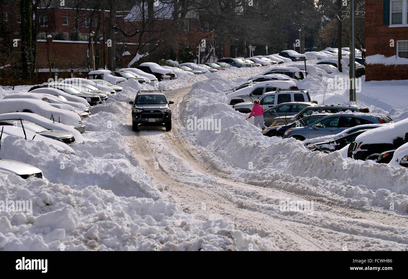 Washington, DC, USA. 25th Jan, 2016. Vehicles are buried in snow in ...