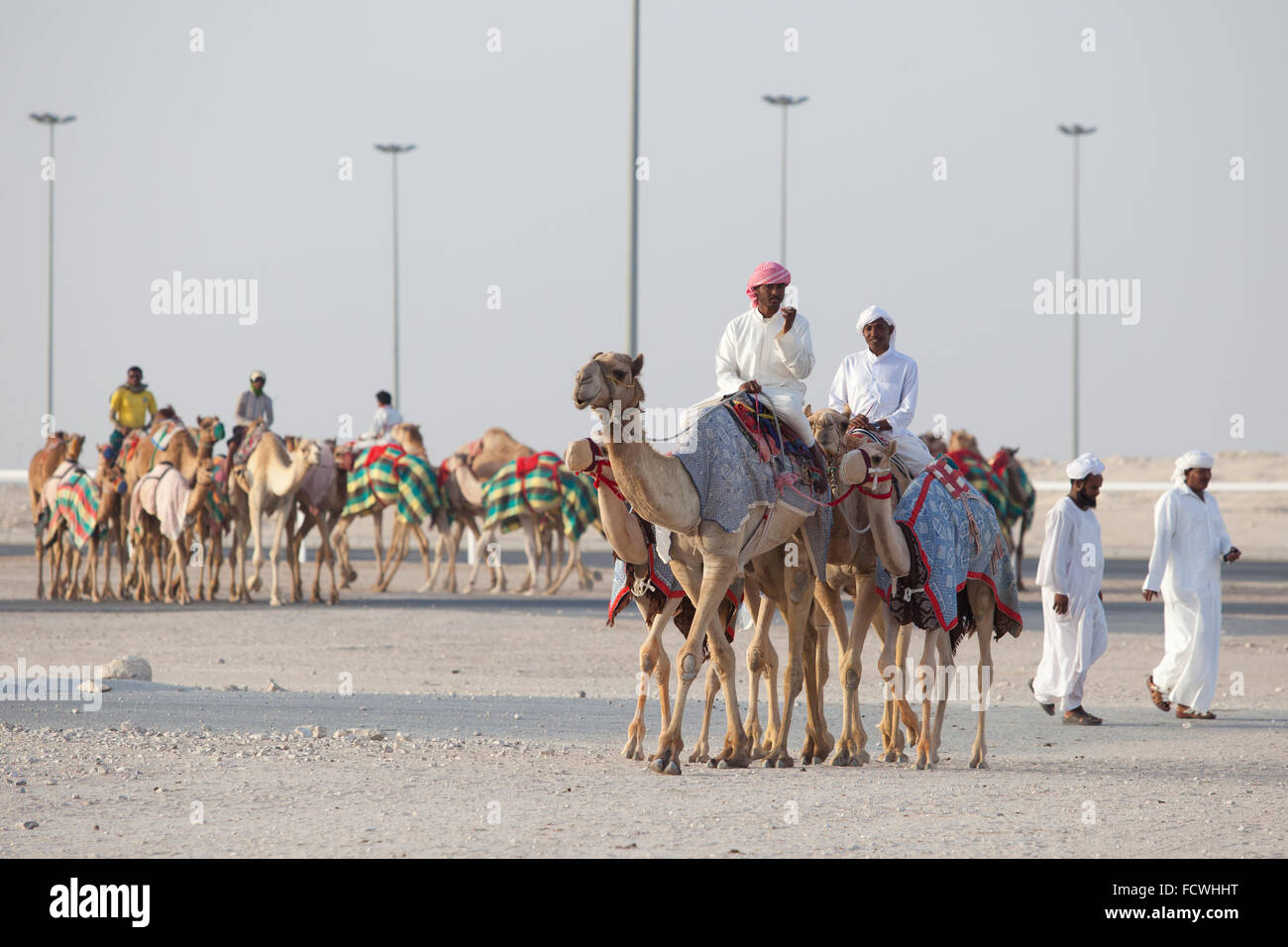 Racing camel hi-res stock photography and images - Alamy