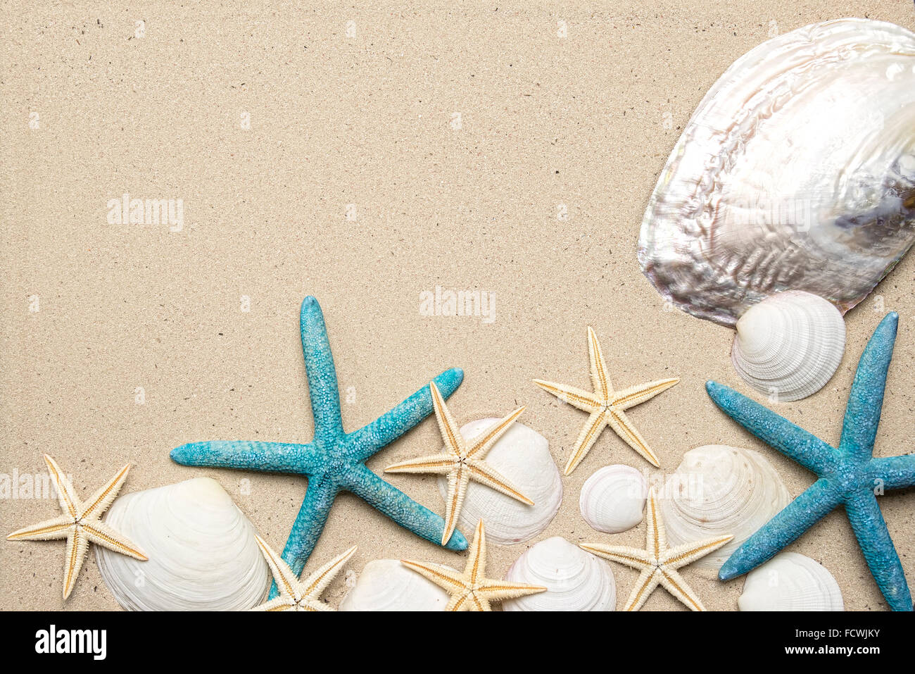 Sea shells on sand. Summer beach background. Top view Stock Photo - Alamy