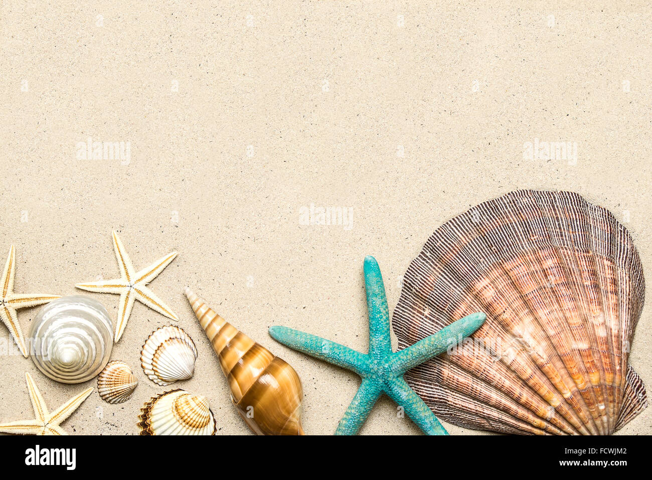 Sea shells on sand. Summer beach background. Top view Stock Photo - Alamy