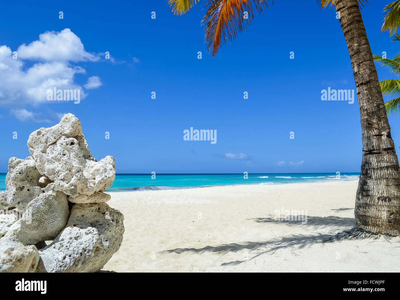 Formation rock palm tree hi-res stock photography and images - Alamy
