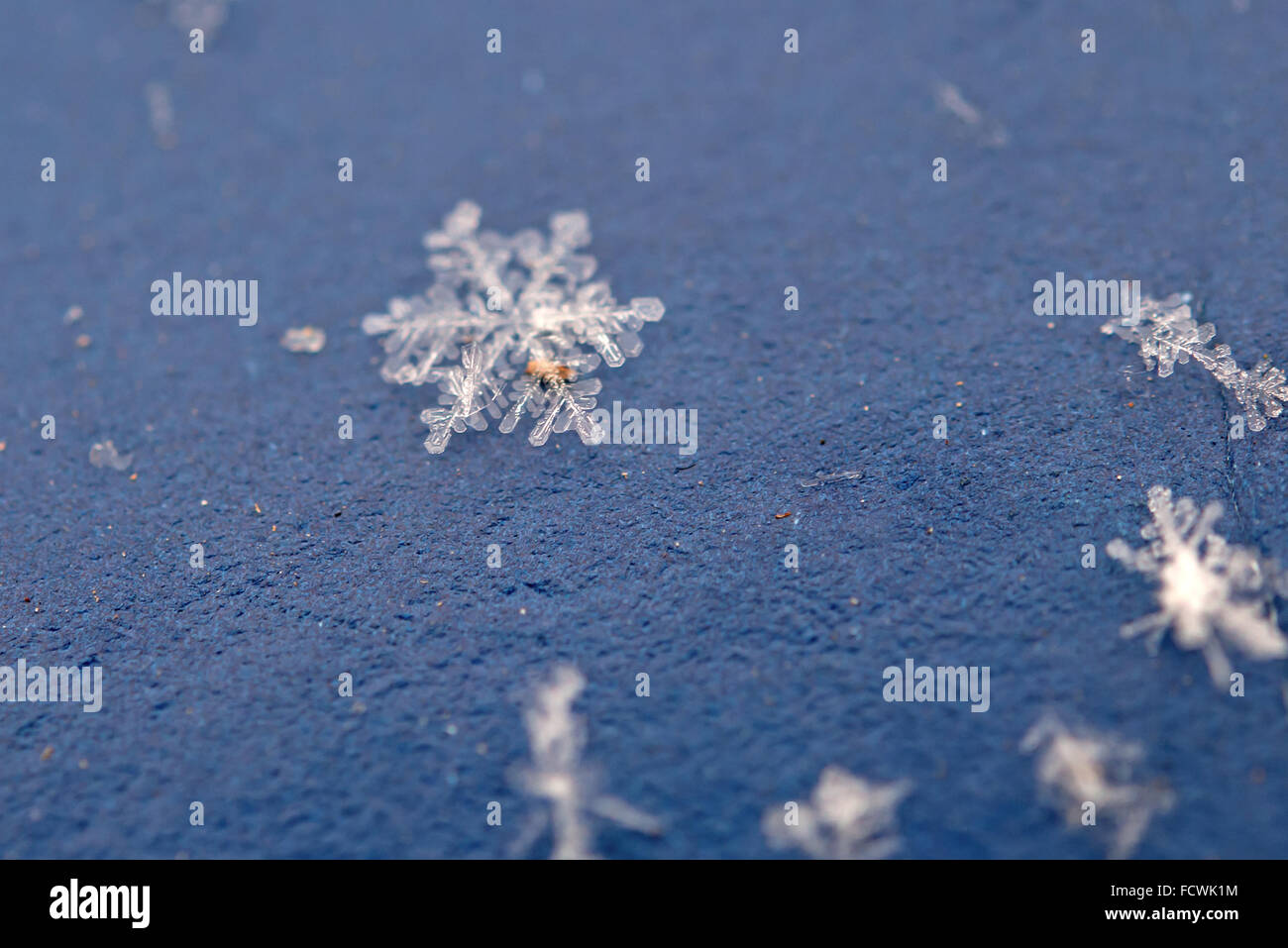 Real snowflake hi-res stock photography and images - Alamy