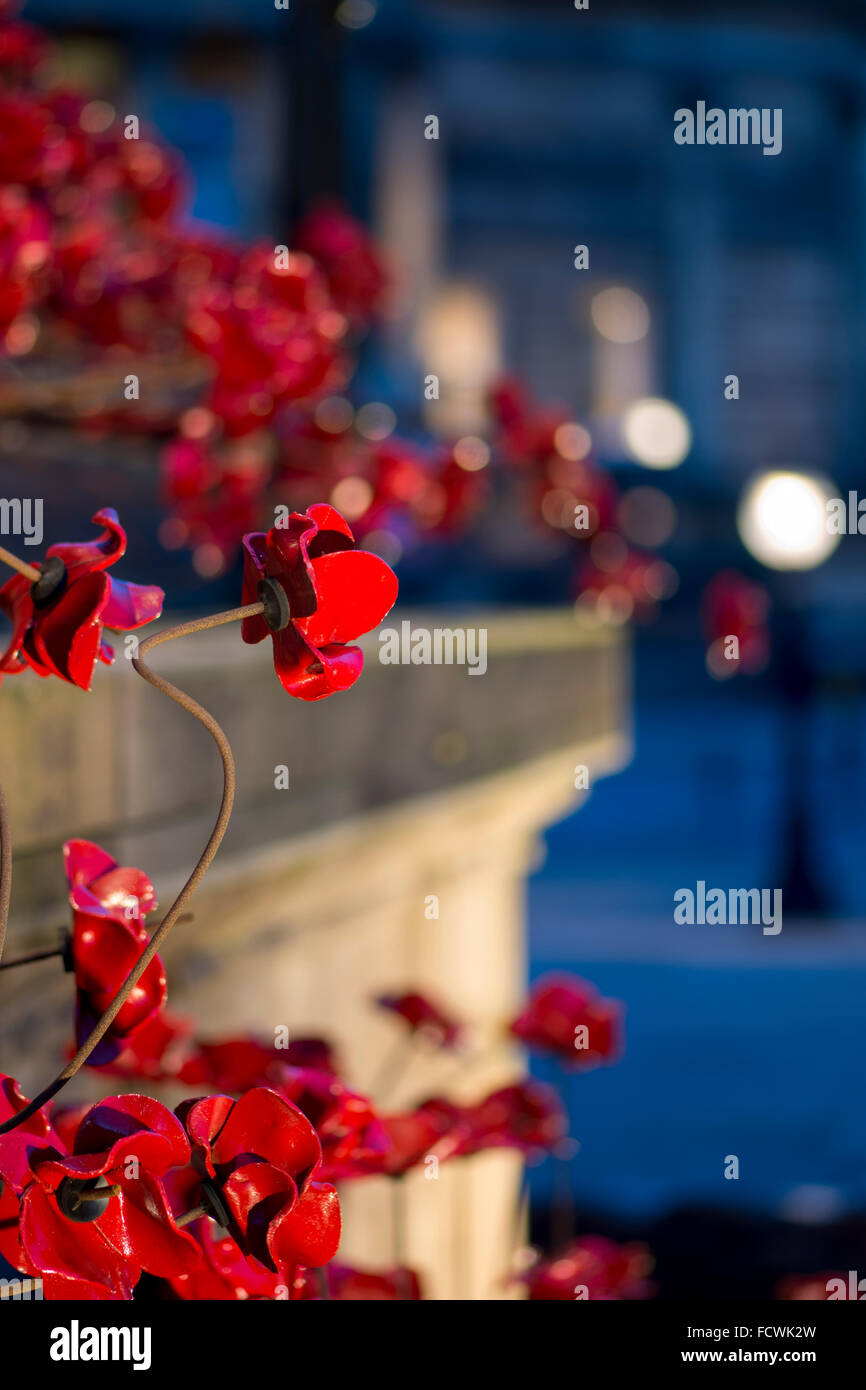 Weeping Window poppy installation at St.George's Hall, Liverpool Stock ...