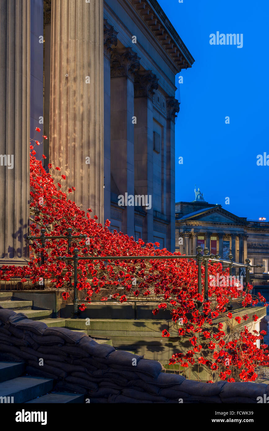 Weeping Window poppy installation at St.George's Hall, Liverpool Stock ...