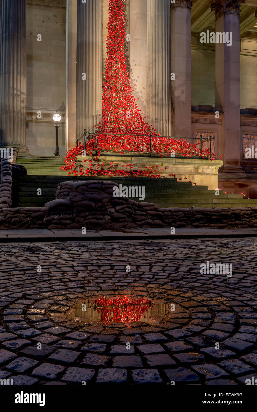 Weeping Window poppy installation at St.George's Hall, Liverpool Stock ...