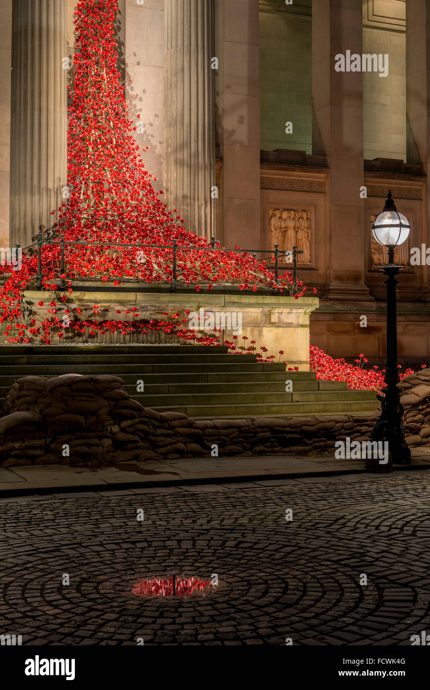 Weeping Window poppy installation,St.George's Hall,Liverpool Stock ...