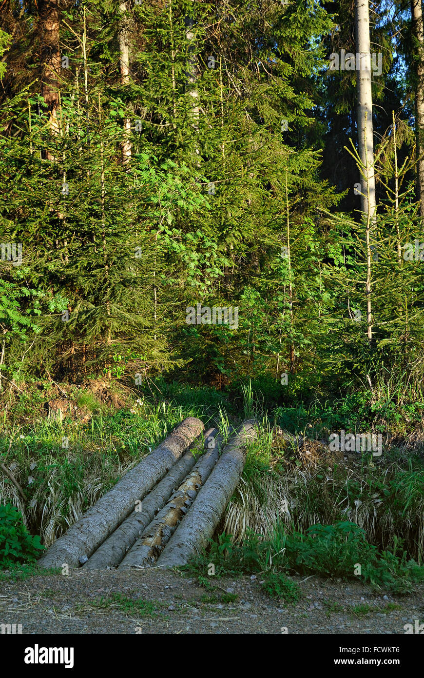 Log bridges hi-res stock photography and images - Alamy