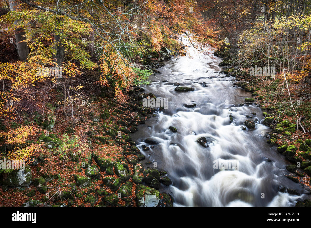 River Deveron in Autumn Colour at Huntly in Aberdeenshire, Scotland ...