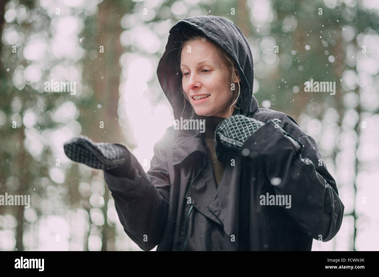 Snow falling in mountain forest hi-res stock photography and images - Alamy