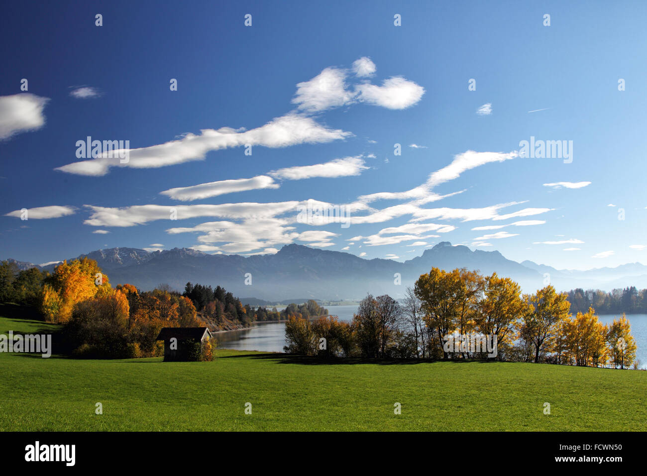 Autumn landscape with view on the Alps at the Forggensee in Allgäu ...