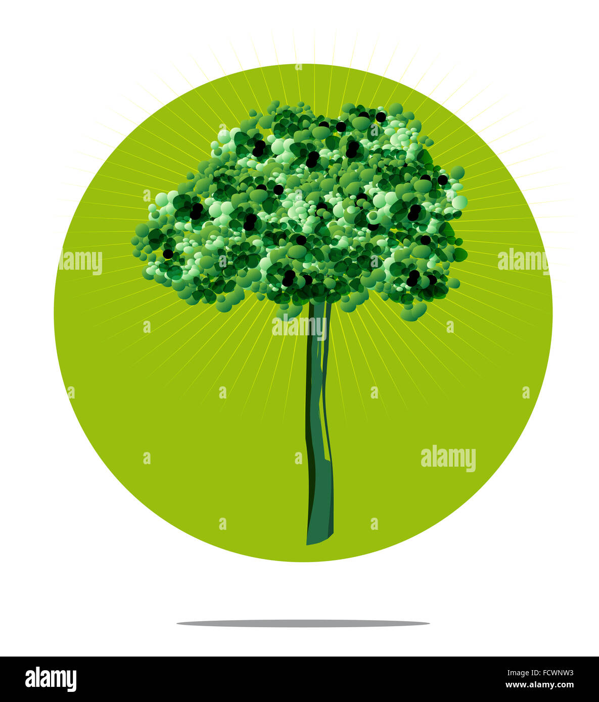 Illustration of a tree with green circle background Stock Photo - Alamy