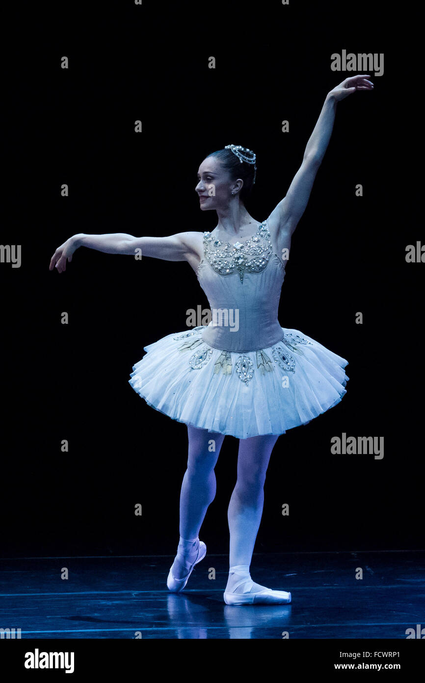 Rome Italy, auditorium della conciliazione. 2016, -01-24. Galà della ...