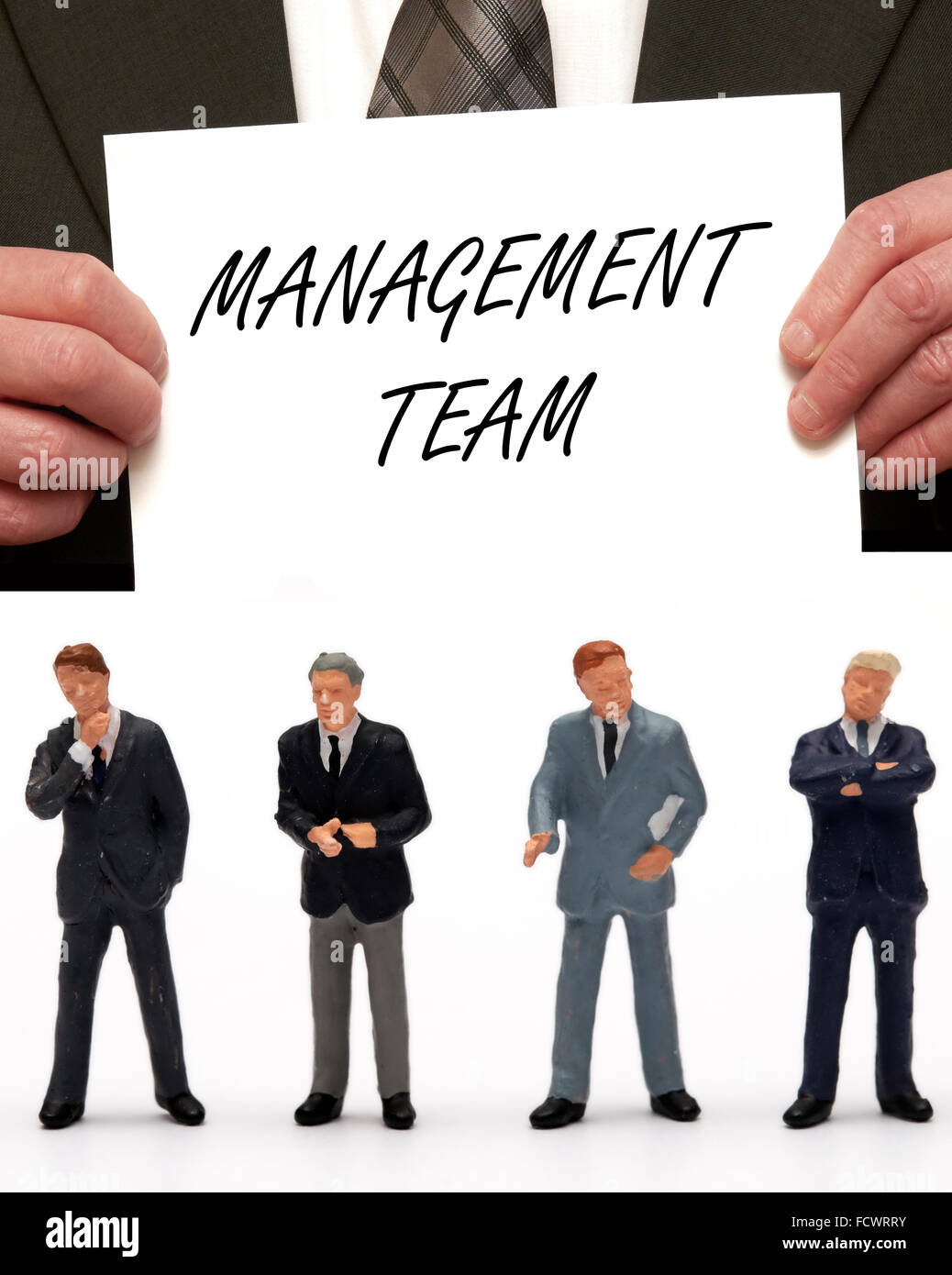 Management Team Images