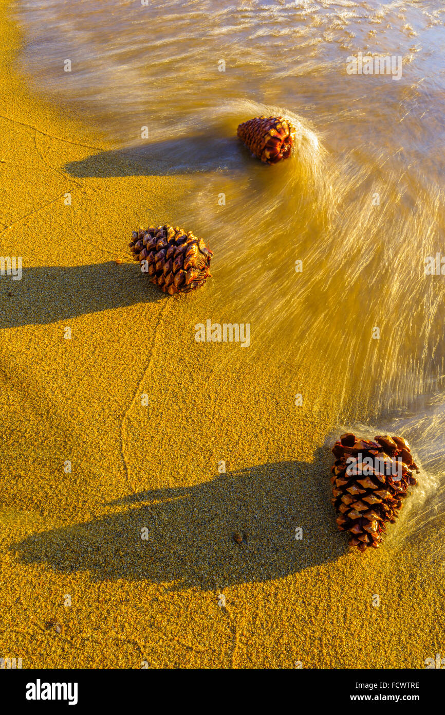 Zephyr cones hi-res stock photography and images - Alamy