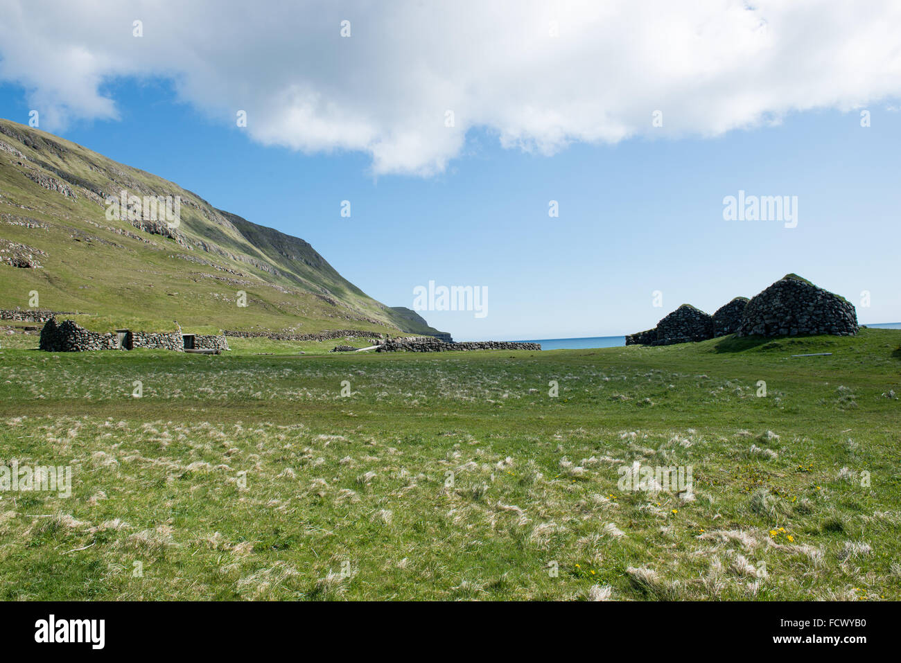 Typical landscape on the Faroe Islands, with green grass and rocks ...