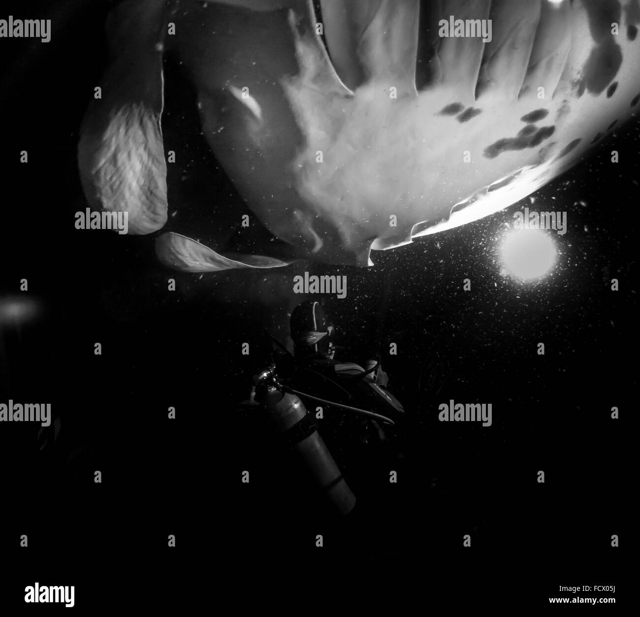 Diving spots Black and White Stock Photos & Images - Alamy