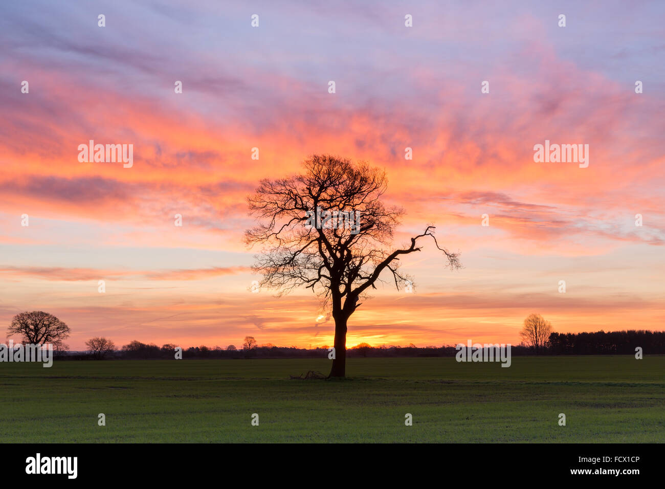 York sunrise uk hi-res stock photography and images - Alamy