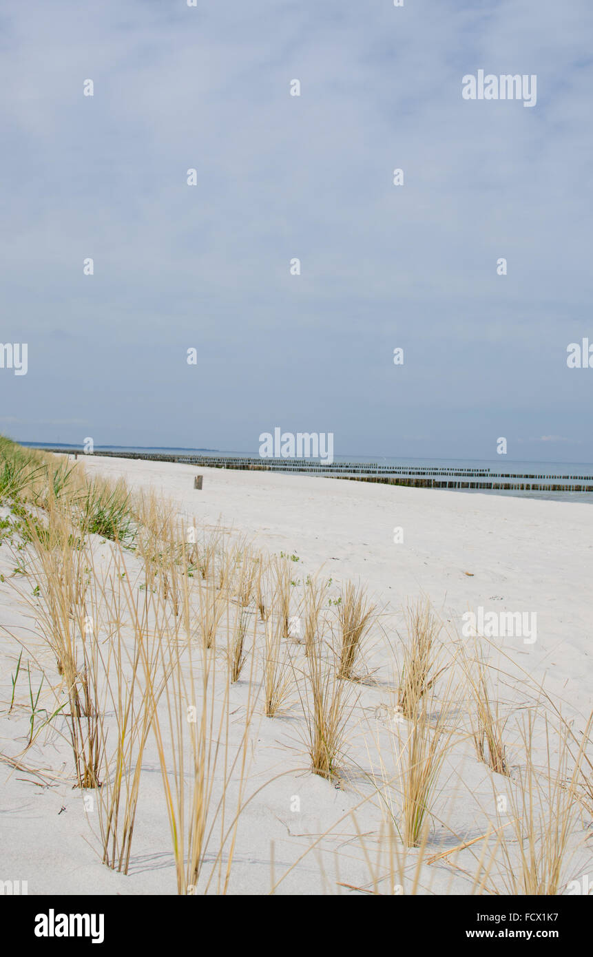 North nature of north Germany Stock Photo - Alamy